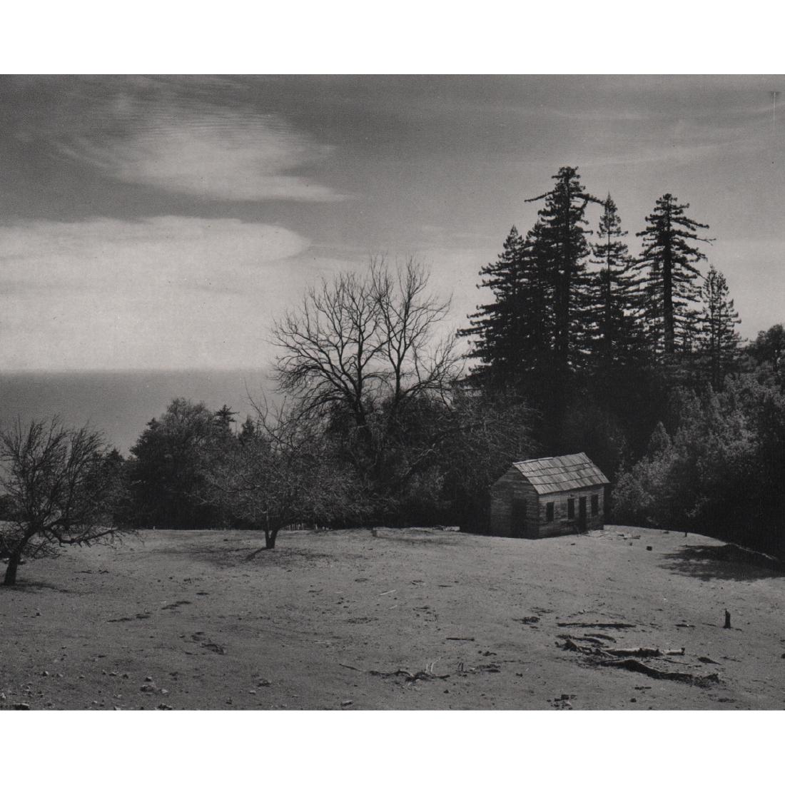 COLE WESTON - Cabin, Redwoods and Pacific