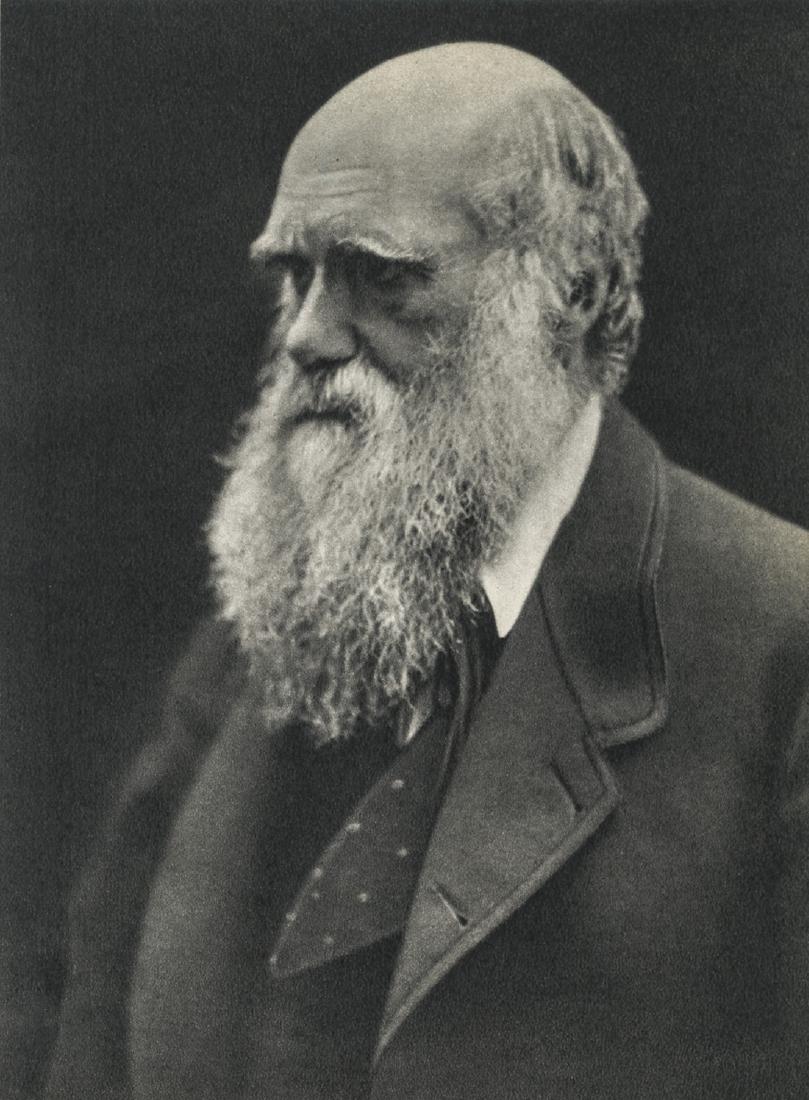 JULIA MARGARET CAMERON - Charles Darwin, 1869
