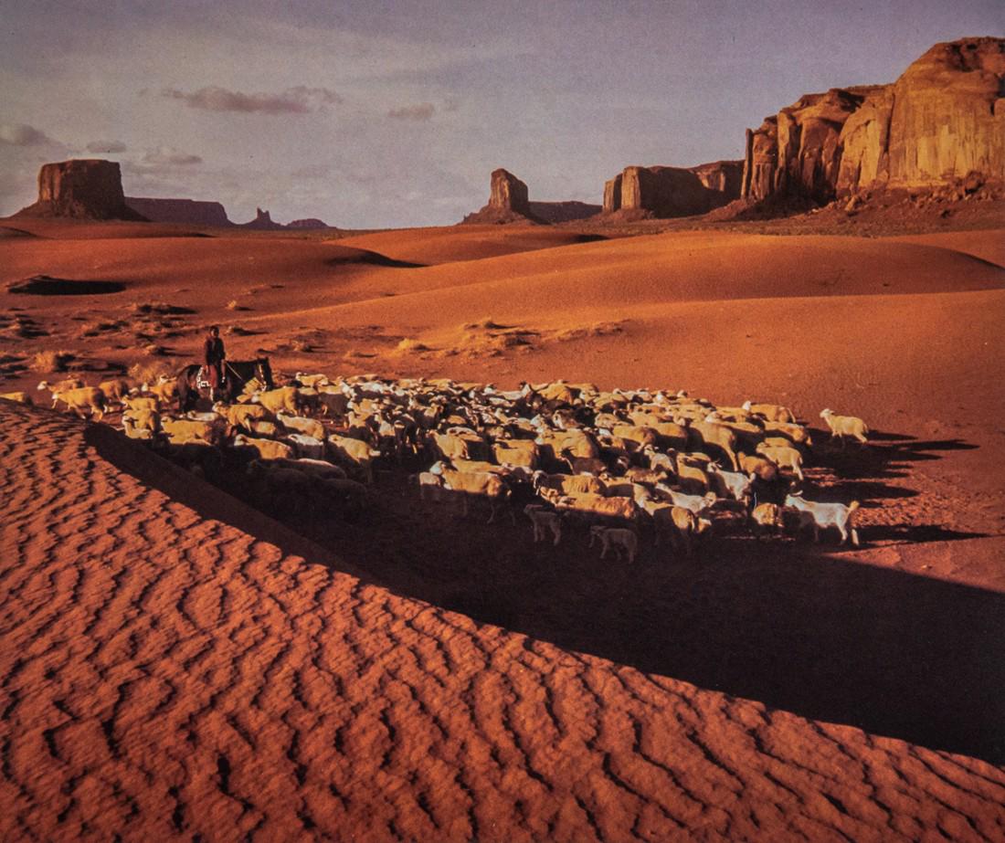 JOSEF MUENCH - The Shepherd