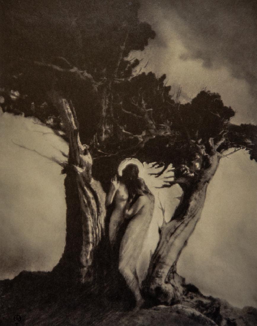 ANNE BRIGMAN - Heart of the Storm, 1912