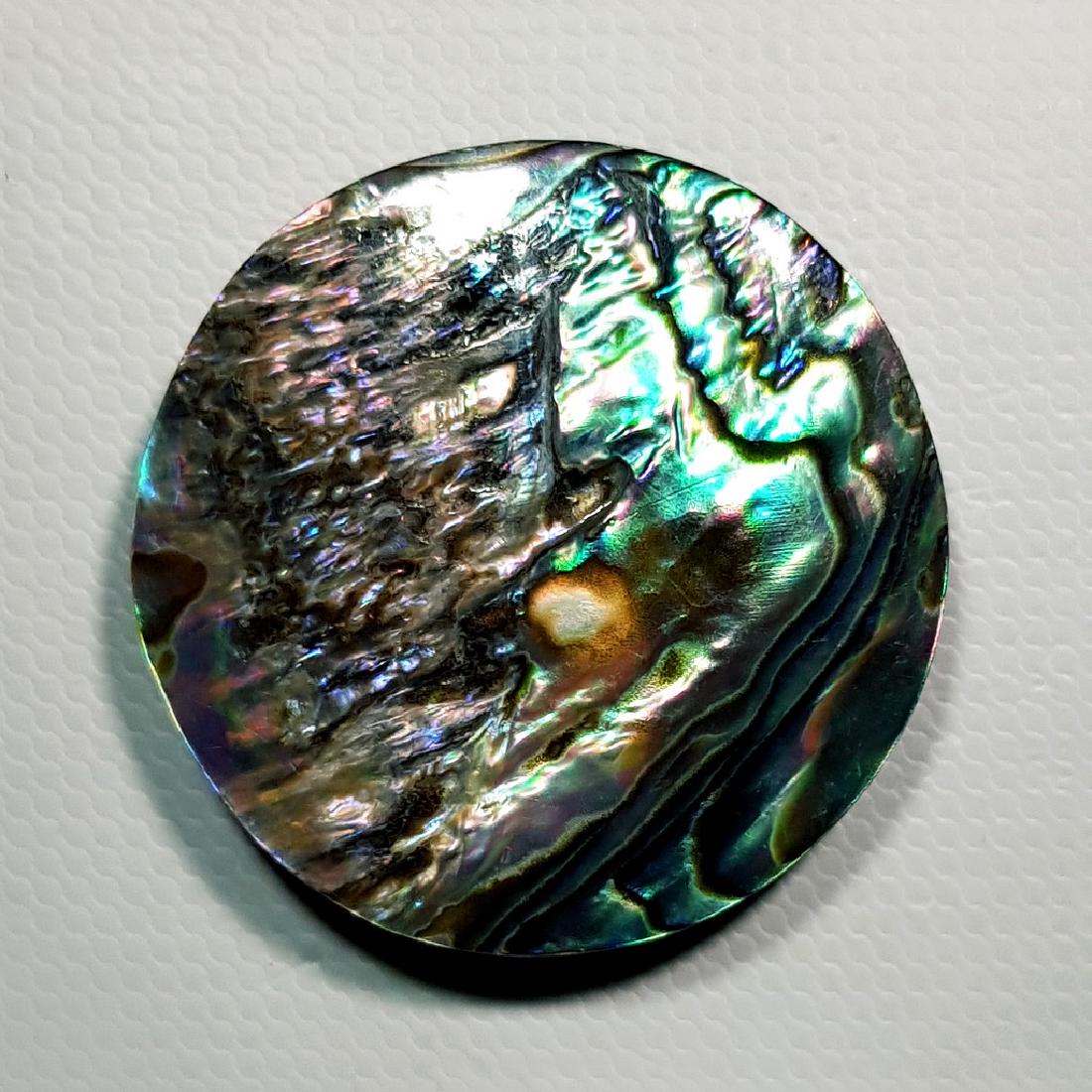 46.47 ct Australian Abalon