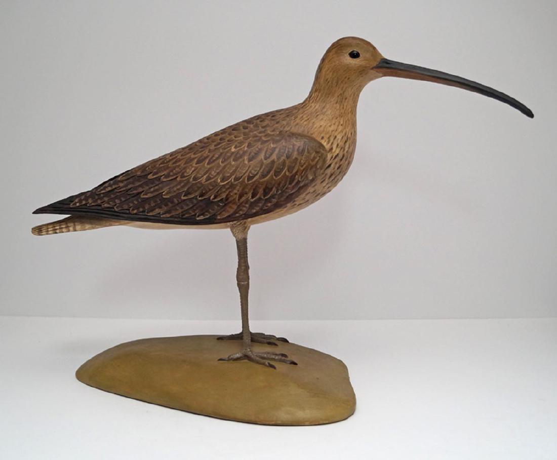 Curlew Wood Carving by Frank Finney