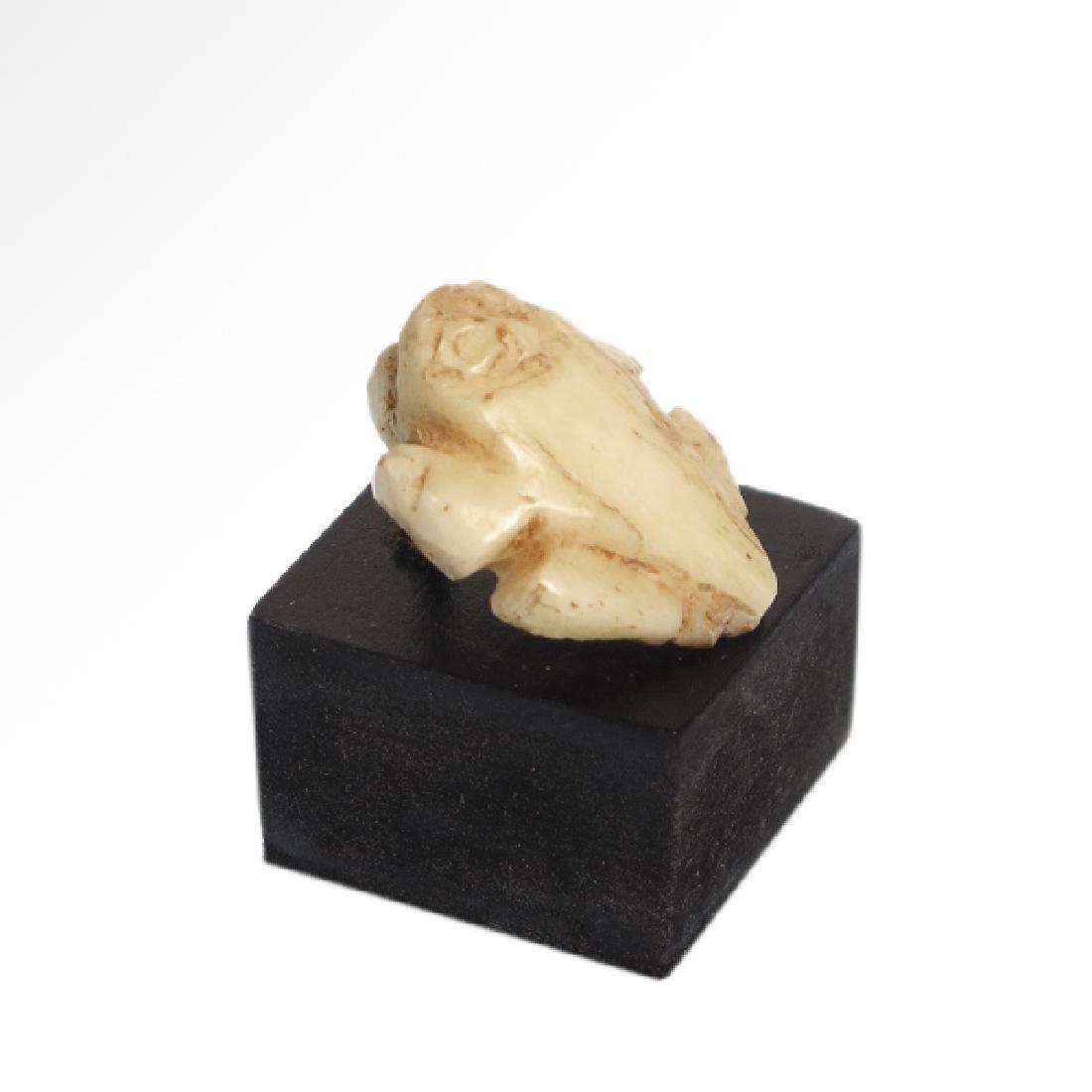 Sumerian Fossil Shell Frog Amulet, c. 3000 B.C. - Feb 07, 2019 ...