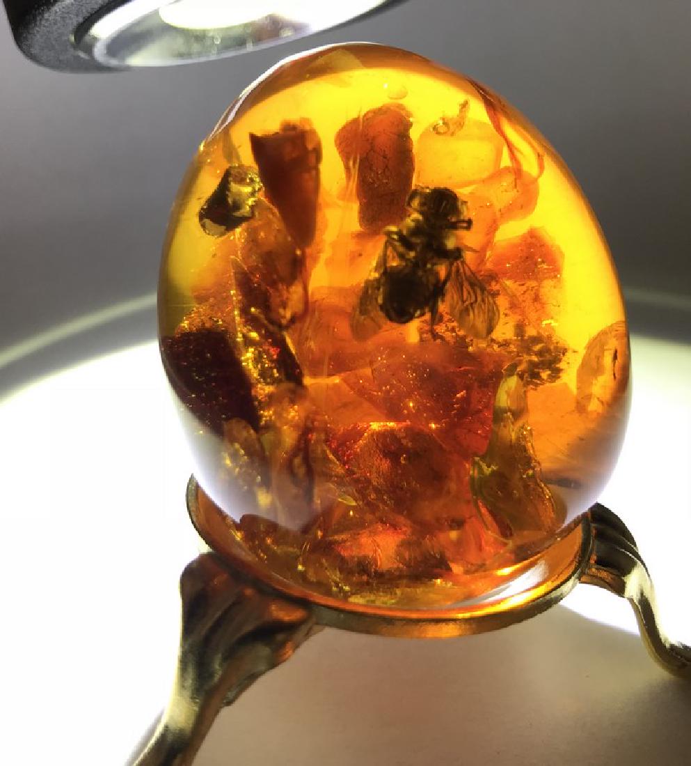 Baltic Amber egg insect bee inclusion + stand