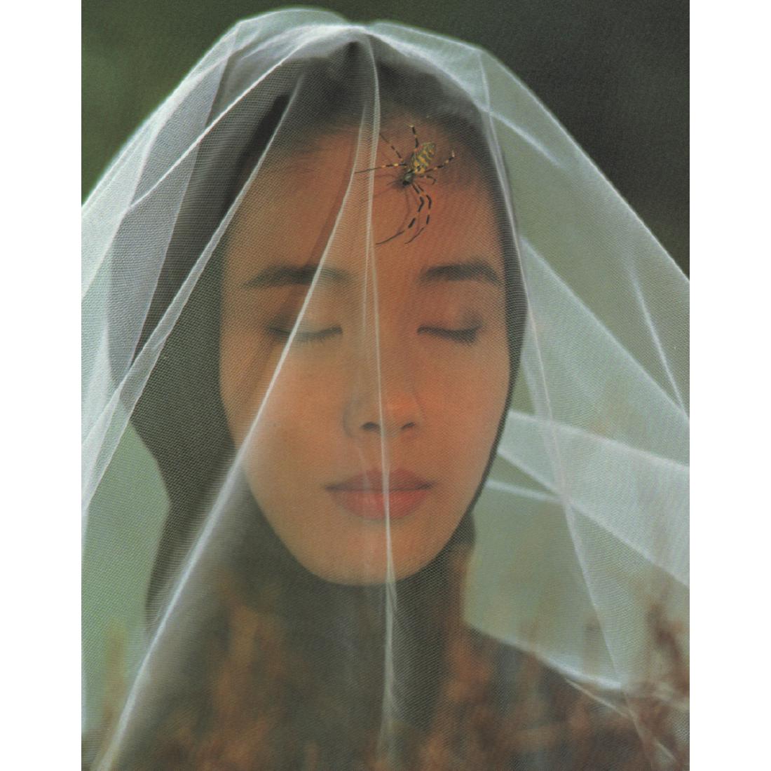 PHILIP PORCELLA - Maki and a Spider - Jul 17, 2019 | Jasper52 in NY