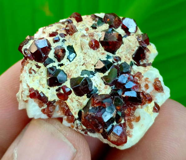 10 Gram Amazing Garnet Specimen