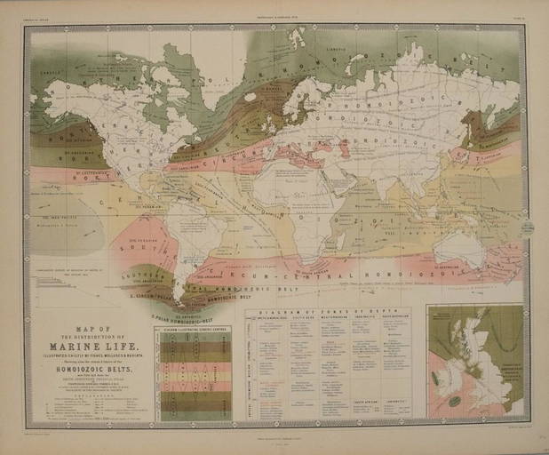 1854 Johnston Map of Marine Life Distribution Globally - Dec 31, 2019 ...
