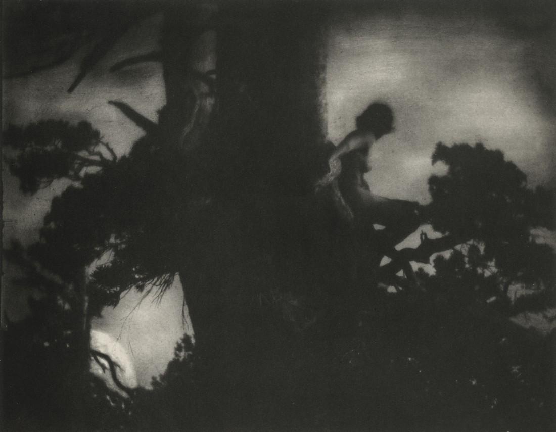 ANNE BRIGMAN - The Pine Sprite, 1912 - Apr 14, 2020 | Jasper52 in NY