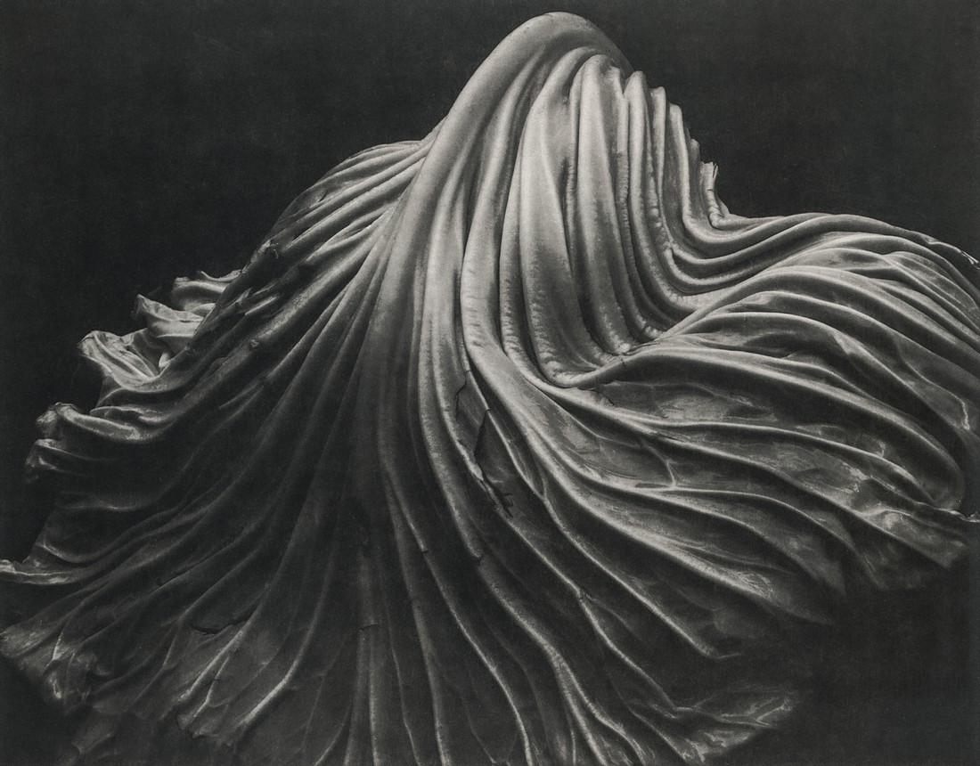 Edward Weston, Cabbage Leaf, 1931 - Jun 10, 2020 | Jasper52 in NY