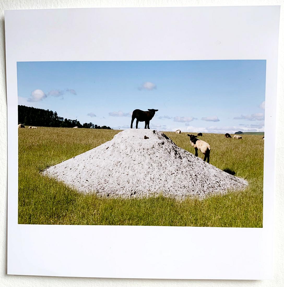Martin Parr: Scotland, Great Britain 2017