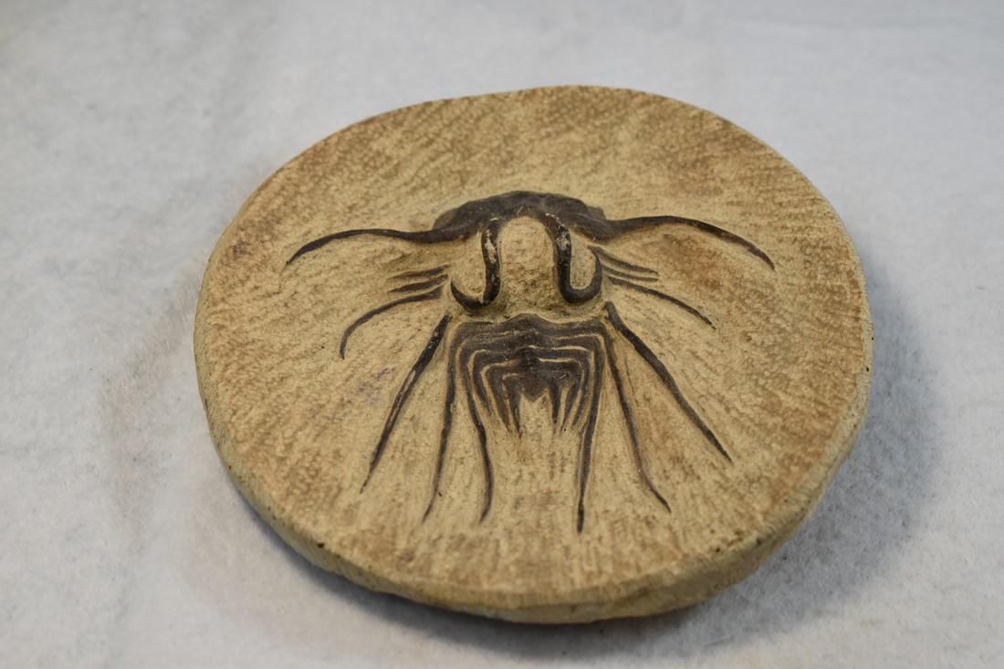 4" Trilobite Fossil Cast, Fantastic Detail, Fossils - Dec 29, 2020 ...