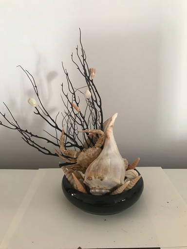 Conch Shell With Crab In A Ceramic Plate