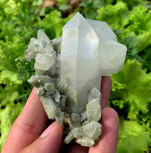 151 Gram Amazing Well Terminated Natural Chlorine