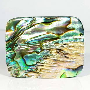 45.60 Ct Australian Abalon