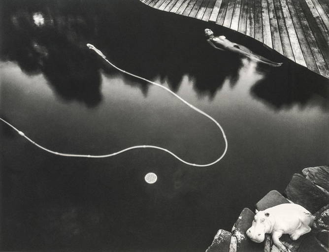 JOHNNY ALTERMAN - Hippopotamus, 1983 (#0005) on Nov 03, 2021 | Jasper52 ...