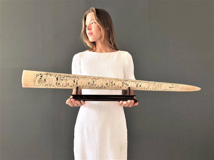 Carved Swordfish Rostrum Parade Of Savannah Elephants