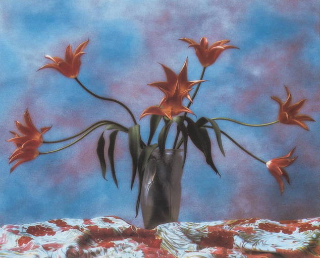 BARNEY EDWARDS - Tulips (#0034) on Jan 05, 2022 | Jasper52 in NY