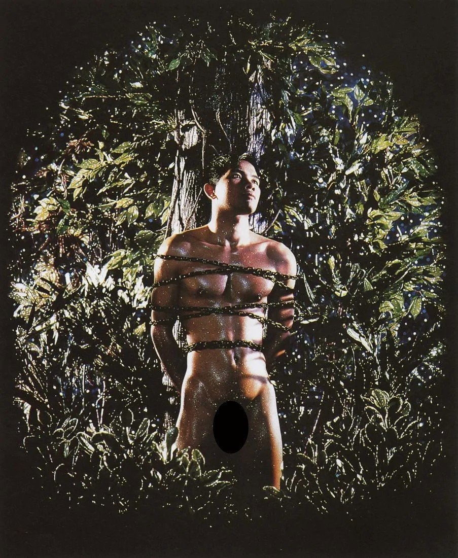 Pierre & Gilles Les Plaisirs De La Foret, Sakol