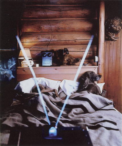 WILLIAM WEGMAN - Ray and Mrs. Lubner Watching TV (#0126) on May 18 ...