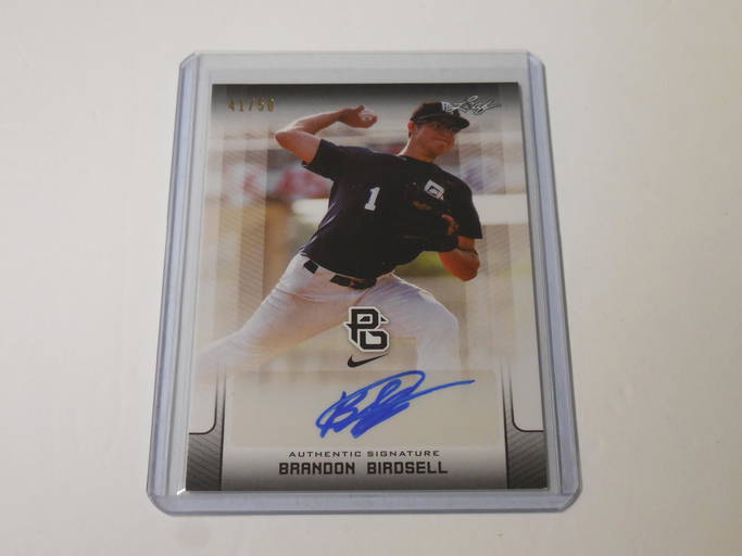 17 Leaf Pg Brandon Birdsell Auto Rc