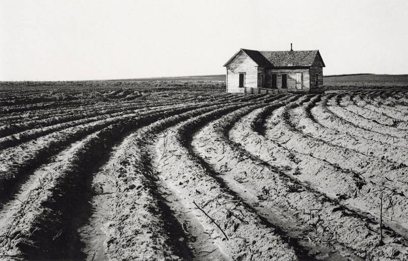 DOROTHEA LANGE - Tractored Out, Texas, 1938 (#0042) on Sep 14, 2022 ...