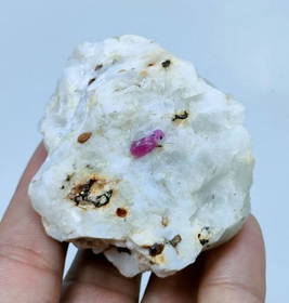 Collectible Rocks, Minerals & Fossils for Sale in Online Auctions - Page 17