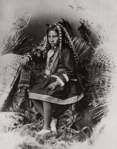 Ben Wittick An Apache Princess, Granddaughter Of Cochise, C.1886