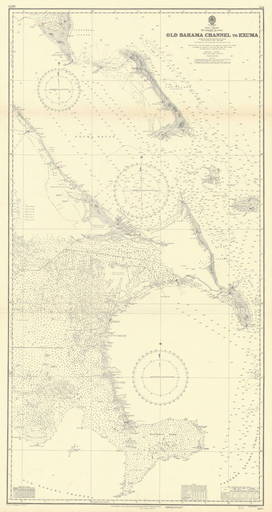 Buy Bahamas Cat Long Islands Great Exuma Eleuthera ADMIRALTY chart 1851 ...
