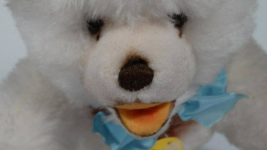 1968 RARE STEIFF COSY TEDDY BEAR FULLY JOINTED 30CM 11" FULLY TAGGED ...