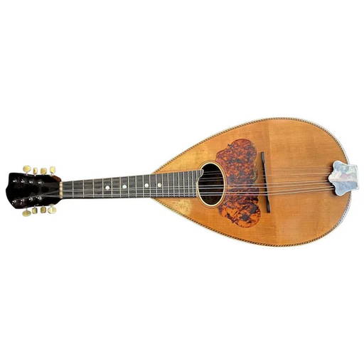 1920 Washburn Bowl Back Mandolin With Case (#0092) on Jan 04, 2023 ...