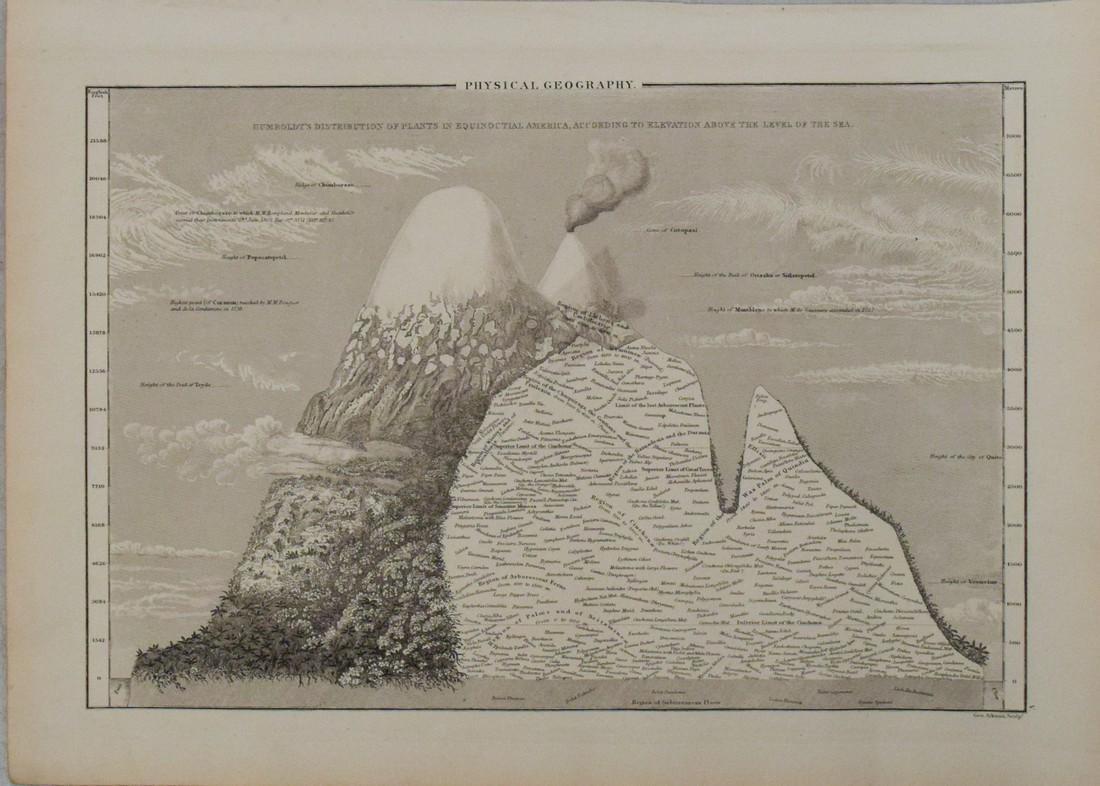 1854 Black / Humboldt Chart Of Changes In Vegetation / Plant Life With ...