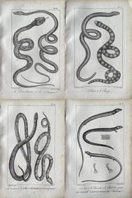 Bernard BOUTET DE MONVEL(1884- 1949)Portrait de Ge - Oct 17, 2010 ...