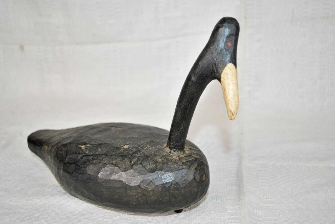 Antique Painted Root Head Coot Decoy, Folk Art Woodcarving