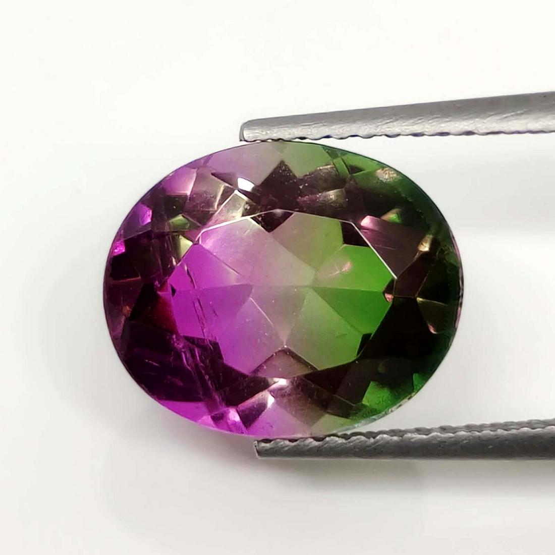 5.60 Ct "beautiful" Watermelon Triplet Quartz Auction