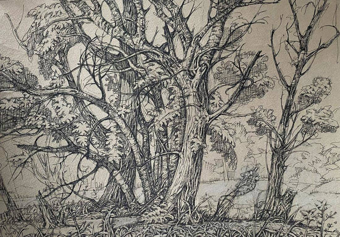 Ink Painting Trees Litvinov Oleg Arkad'yevich Auction