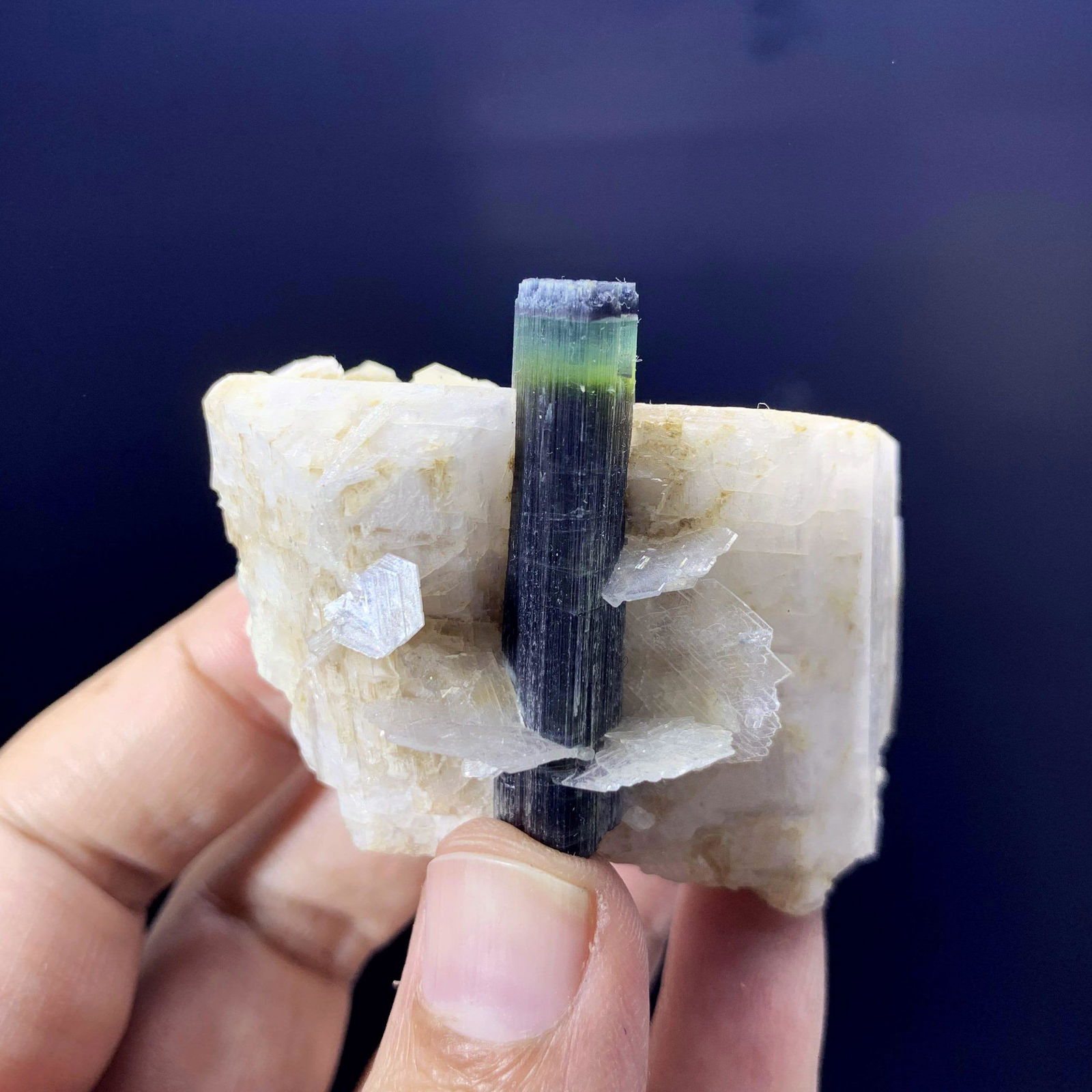 Buy Natural Tourmaline Crystal Specimen, Blue Cap Tourmaline Specimen ...