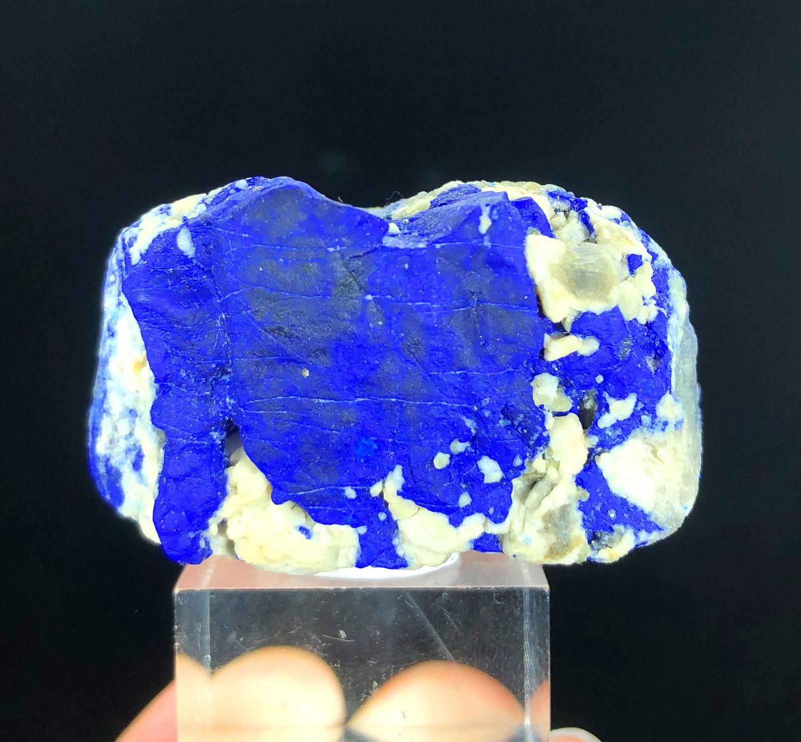 Buy Natural Lapis Lazuli Mineral Specimen, Blue Lapis, Raw Lapis ...