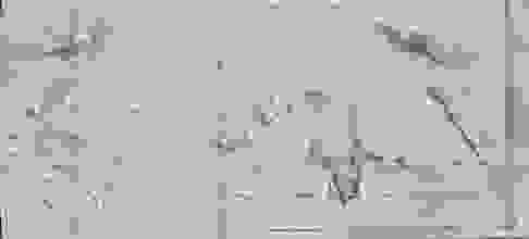 1854-5 Immense Whipple Map From Texas To California -- Map No. 2 From ...