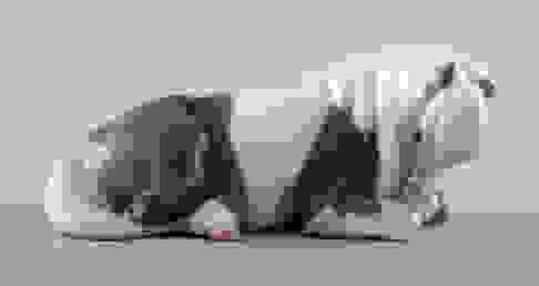 Buy Royal Copenhagen Horse Figure, Shetland Pony. Decoration Number ...