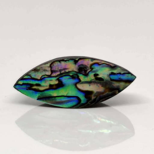 13.45 Ct Natural Australian Abalone Shell