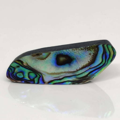 30.75 Ct Natural Australian Abalone Shell