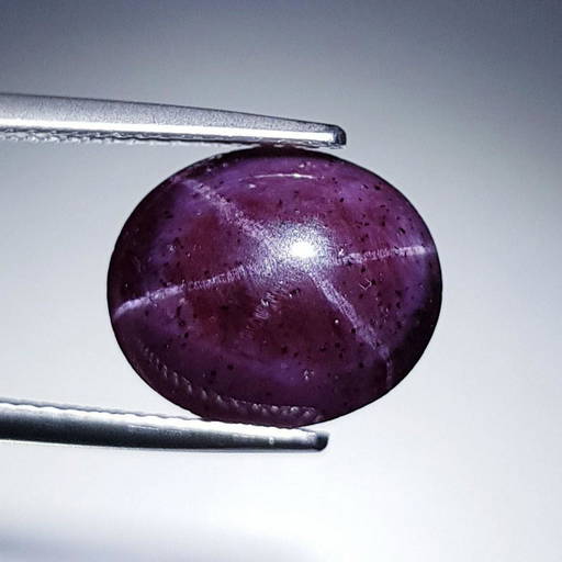 9.24 Ctz " Natural Four Rays Star Garnet