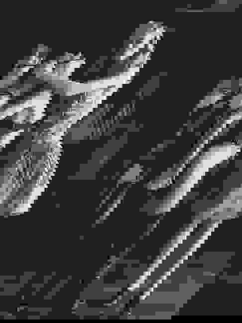 Bettina Rheims - Derriere Le Miroir Auction