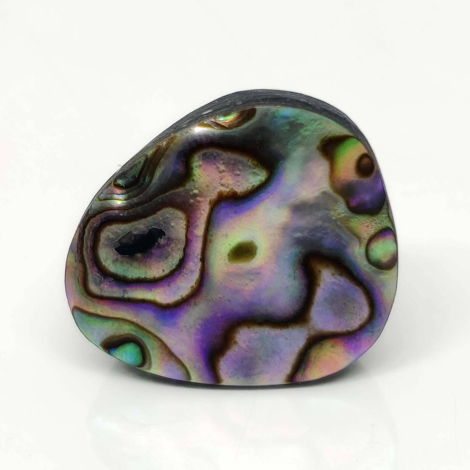 19.70 Ct Natural Australian Abalone Shell Auction