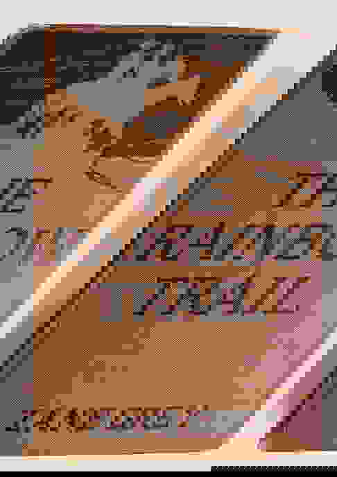 Rare Antique Book "the Rainbow Trail" By Zane Grey First Ed. Thus 1915 ...