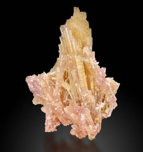 Collectible Rocks, Minerals & Fossils for Sale in Online Auctions