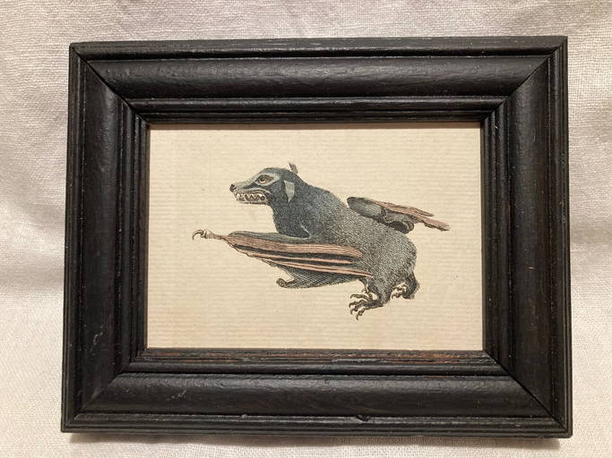 1784 Hand Colored Spectre Bat Copperplate Engraving