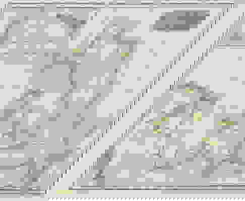 Discoveries Of… Ross, Parry & Franklin In The Arctic Regions. Thomson ...