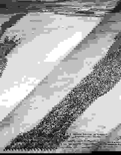 Arthur Mole - Human Statue Of Liberty, 1917 Auction