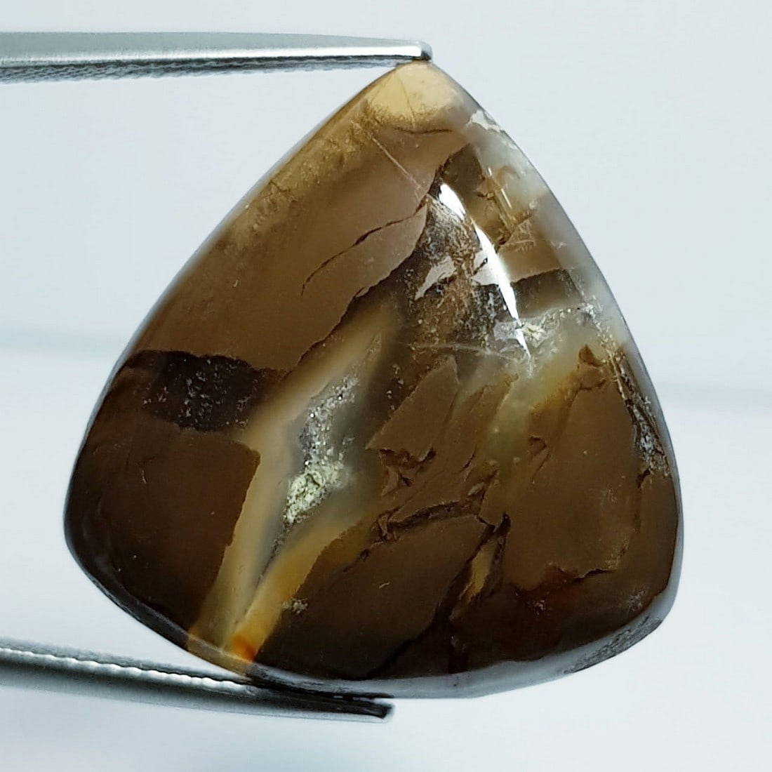 36.25 Ctz Natural Thunder Agate Cbochon Auction